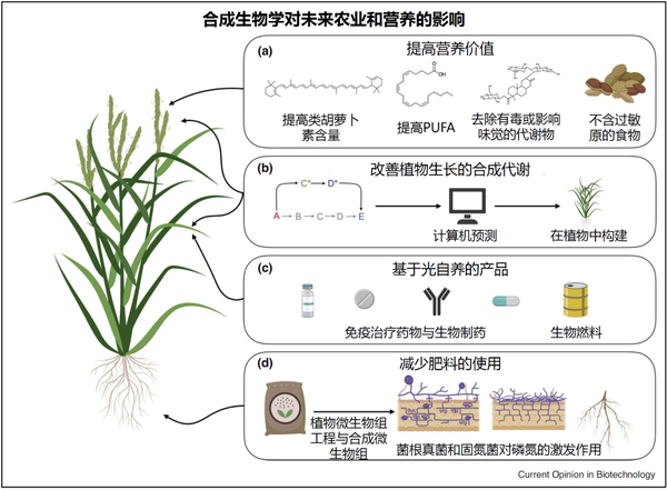 合成生物学：全世界都在推动的第三次生物技术革命 - 知乎
