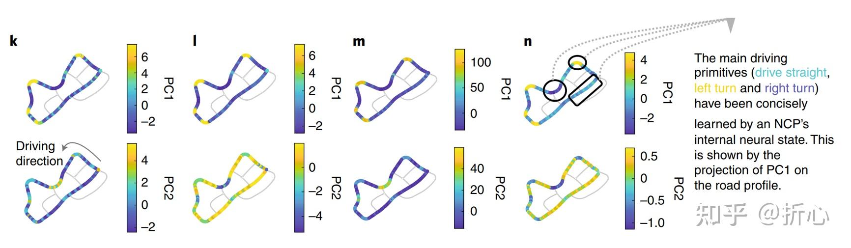 一些文章: Neural circuit policies enabling auditable autonomy - 知乎