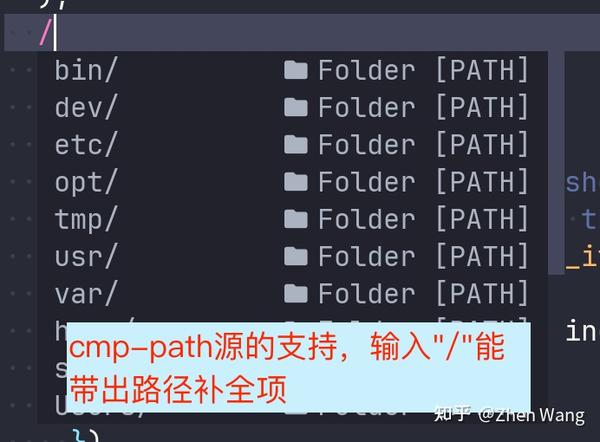 详解nvim内建LSP体系与基于nvim-cmp的代码补全体系 - 知乎