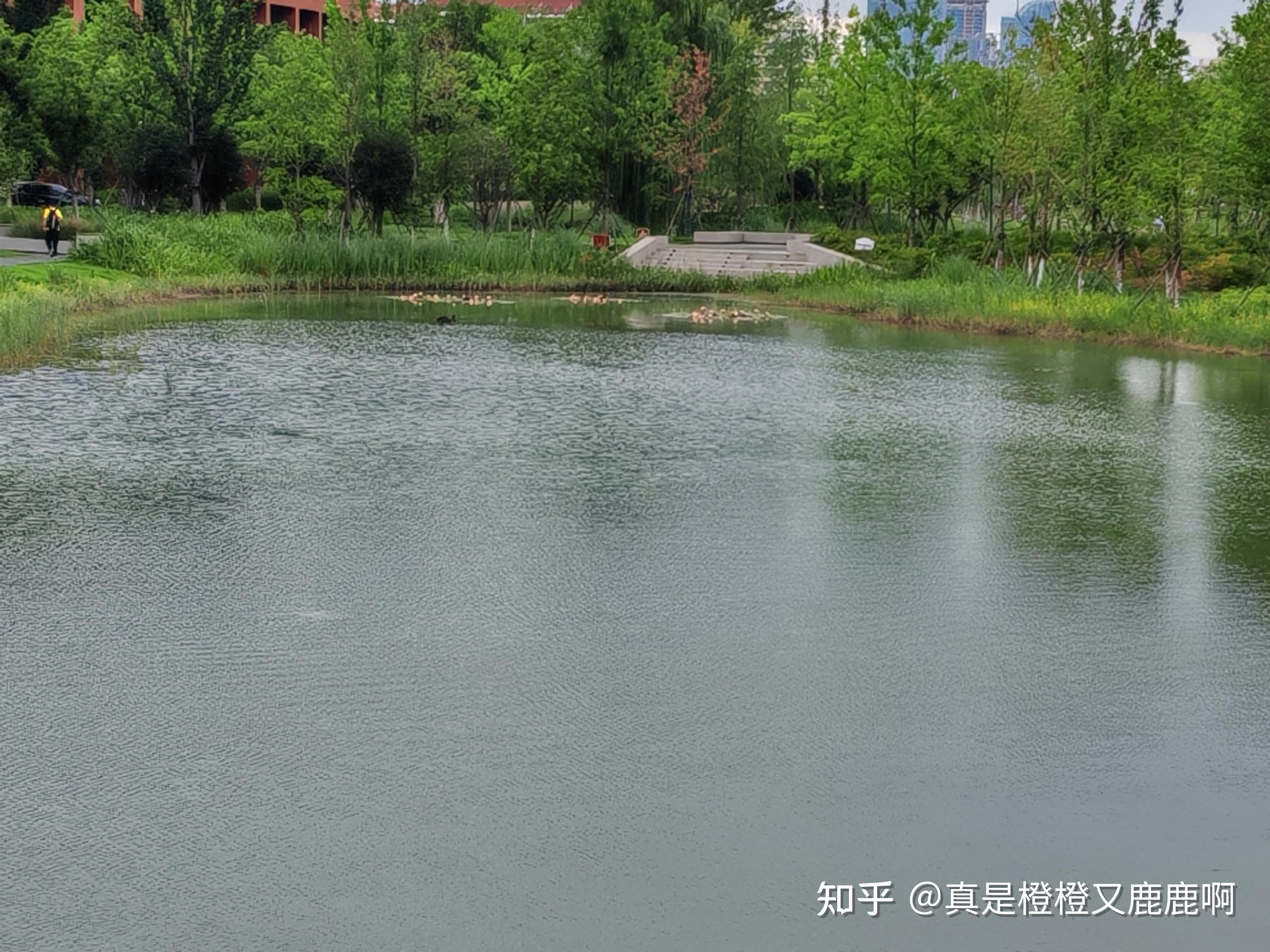 RUC AI BOX小组经验与建议分享 - 知乎