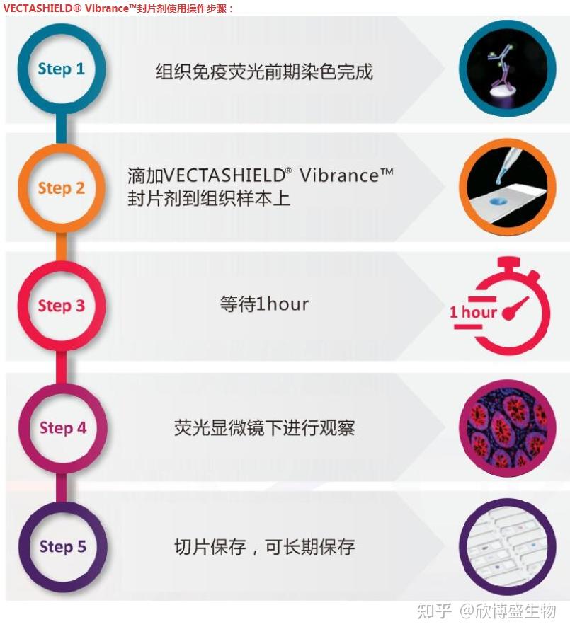 New! VECTASHIELD® Vibrance™ Antifade Mounting Media - 知乎