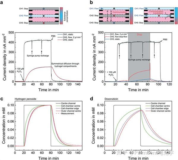【MultiPalmSens4电化学应用】微流控芯片器官系统，3D细胞培养中代谢产物监测的多重分析 - 知乎