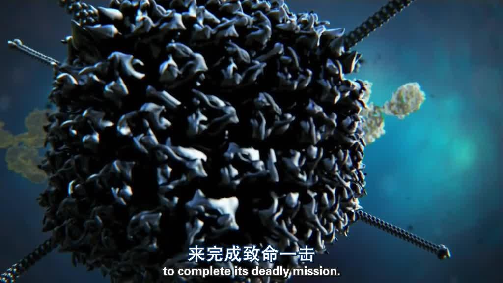 生物进化中，病毒存在至今有何意义？ - 知乎