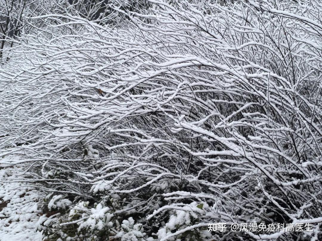 结缔组织病合并间质性肺病（CTD-ILD）的治疗进展 - 知乎