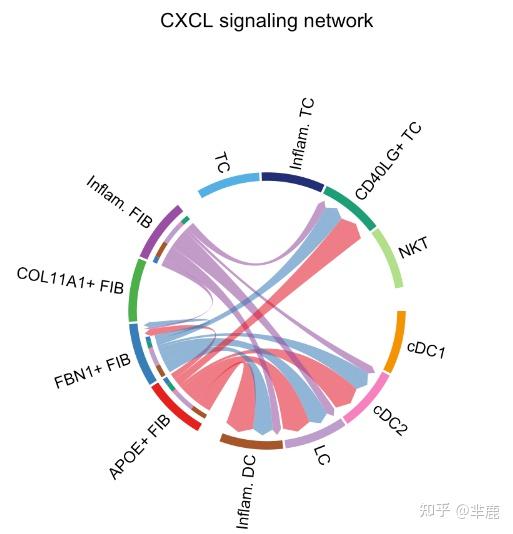 CellChat细胞通讯分析（中）--实操代码（单个样本） - 知乎