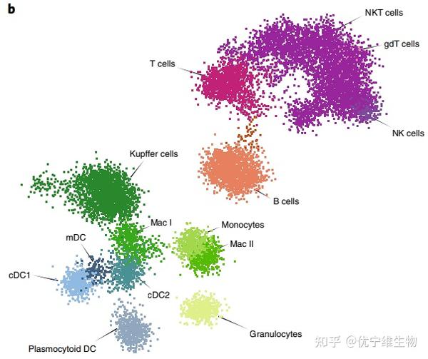 Systemic Immunity in NAFLD&NASH : Total Solution All in One - 知乎