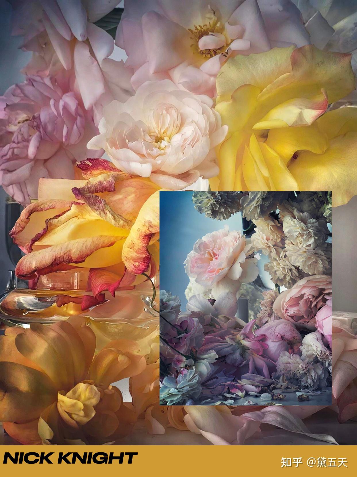 Nick Knight: 最具远见的时尚摄影师（内附给年轻摄影师的建议！） - 知乎