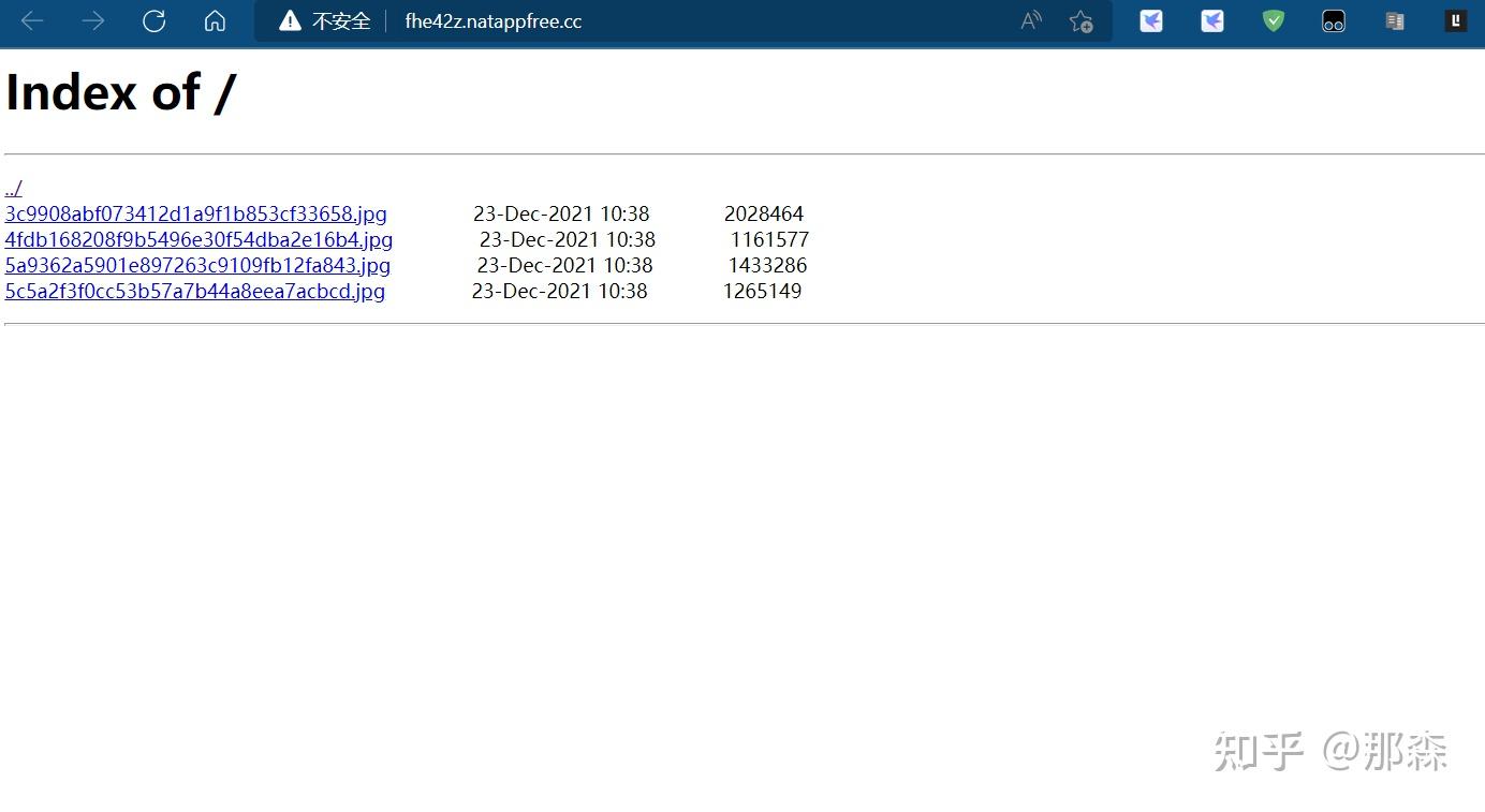 Windows下利用Nginx和Natapp内网穿透 - 知乎