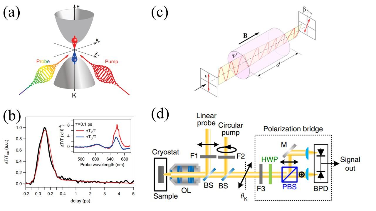 pump-probe技术在2D TMDs中的应用 - 知乎