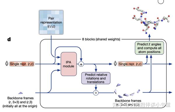 GoDeep系列（十）：AlphaFold 2模型结构拆解（框架） - 知乎