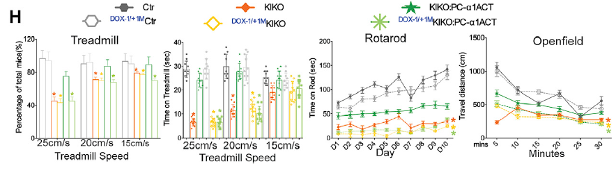 为何DigiGait步态分析系统，能接连助力发表顶级期刊文献？ - 知乎