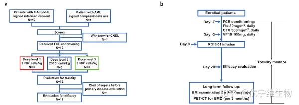 通用型CAR-T细胞疗法治疗CD7阳性肿瘤表现令人惊喜 - 知乎