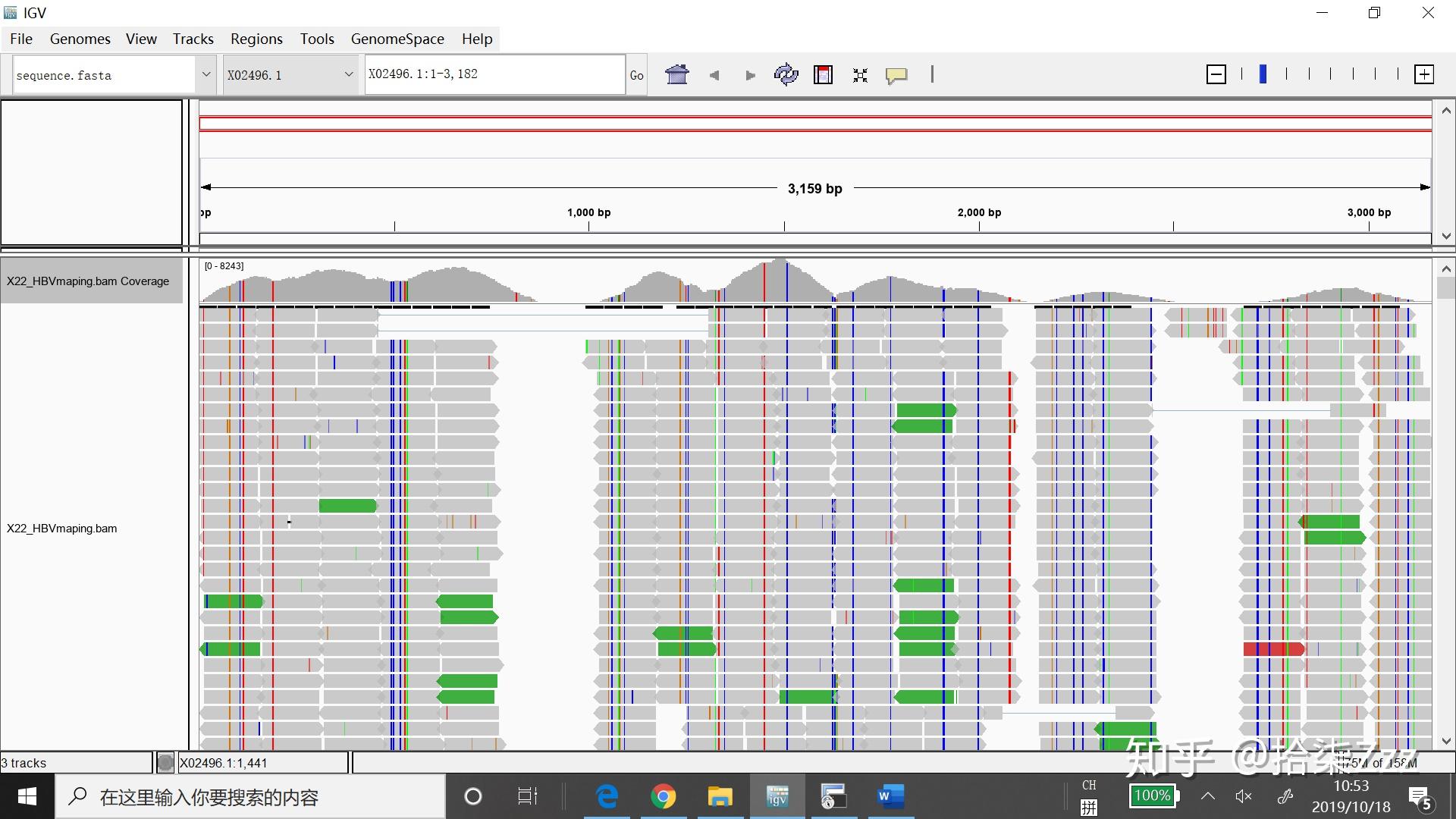 如何将转录组数据mapping到自己的序列并可视化？(HISAT2+Samtools+IGV) - 知乎