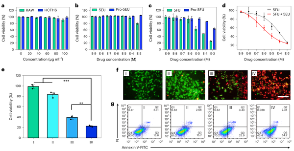 生物正交化学新突破！曲晓刚团队最新Nature Catalysis - 知乎
