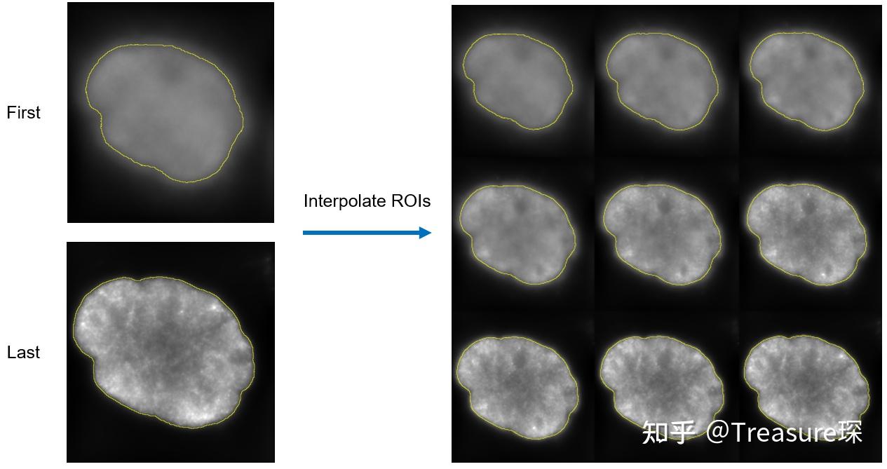 ImageJ实用教程——Selection与ROI操作(基本功能篇) - 知乎
