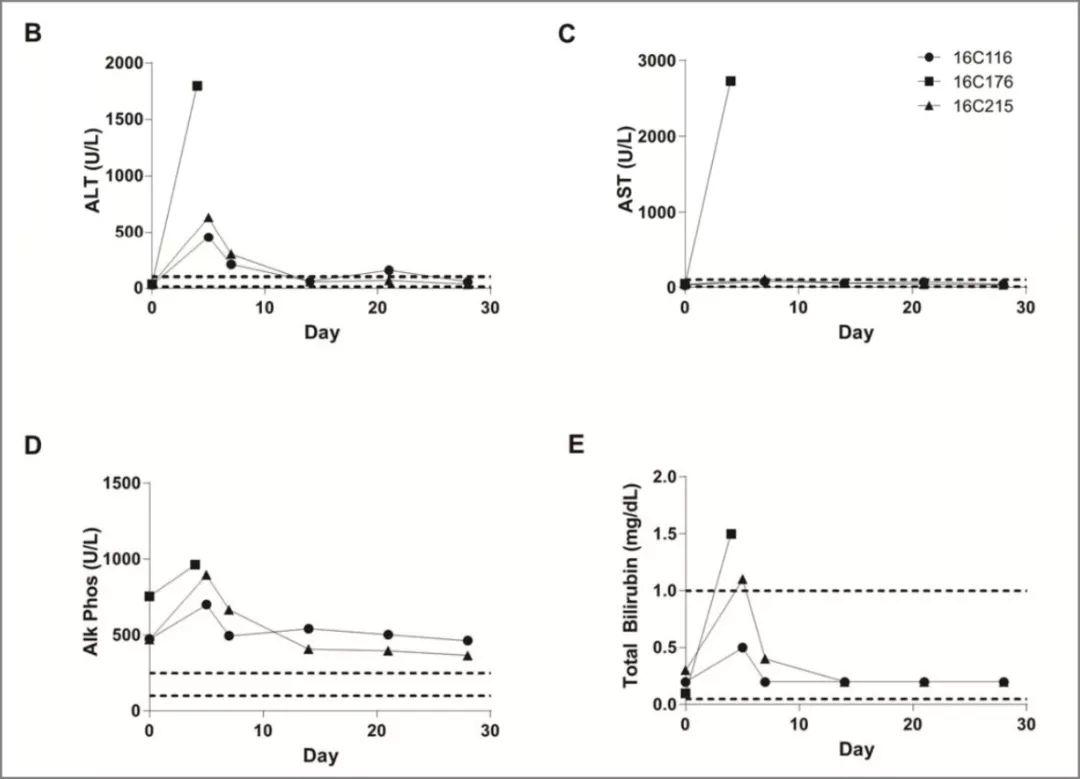 过犹不及：最安全的基因治疗载体AAV被证实存在严重毒性作用 - 知乎