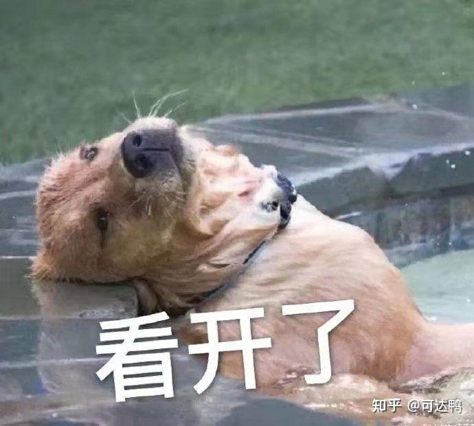 丁丁多大多长才算正常的？ 知乎