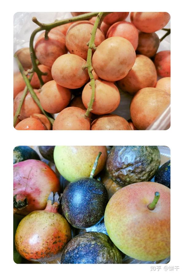 幸福的时光总是短暂 - 知乎