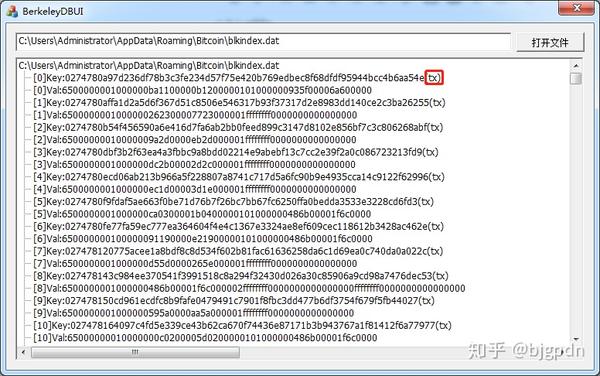 比特币早期版本wallet.dat、addr.dat、blkindex.dat数据库内容解读 - 知乎