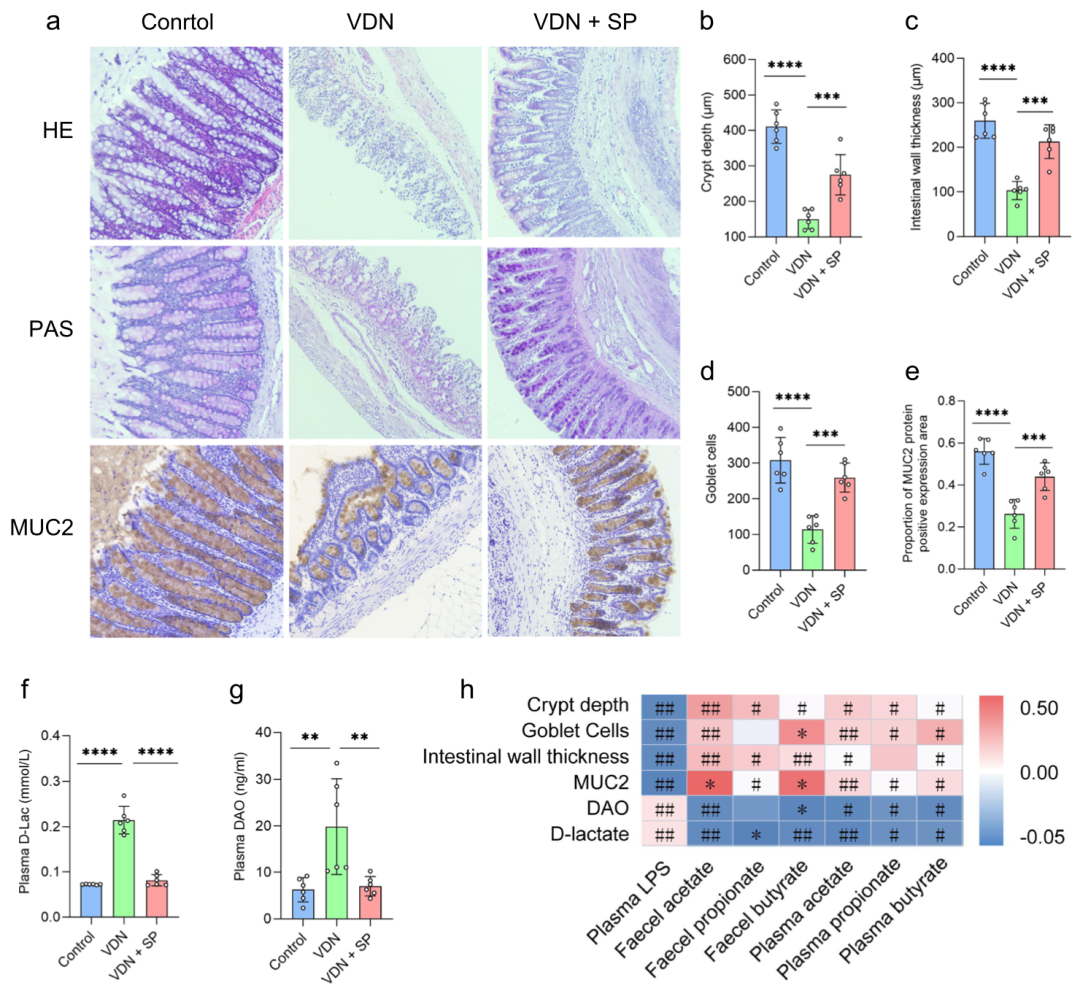 Microbiome｜源于肠道微生物群的“秘密武器”—短链脂肪酸，降低心血管疾病发病率有奇招？ - 知乎