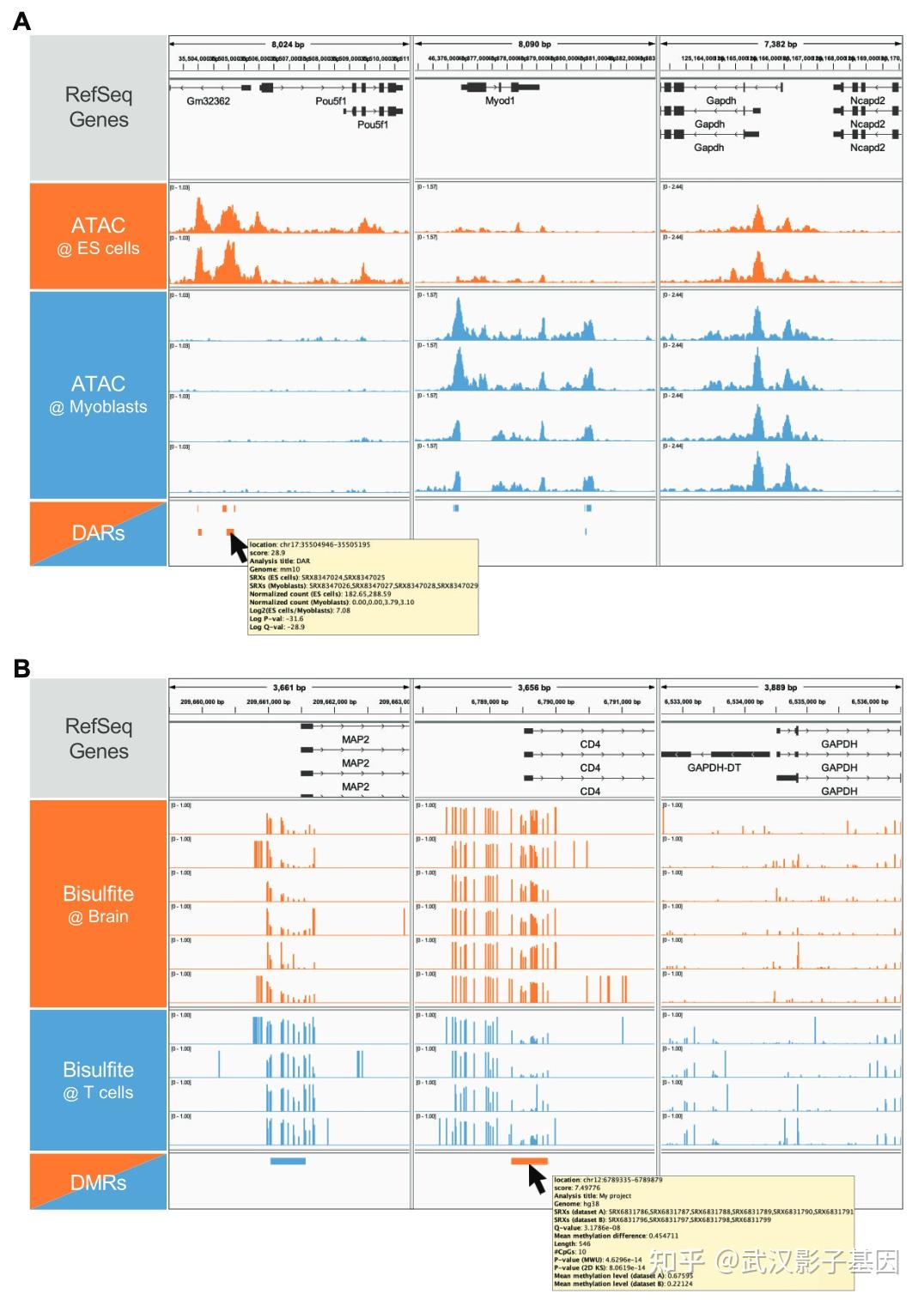 ChIP-Atlas 3.0 挖掘转录调控机制景观的利器 - 知乎