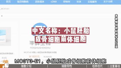 MC3T3-E1细胞培养，小鼠胚胎成骨细胞前体细胞培养攻略-丰晖生物 - 知乎