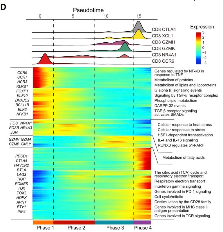 答读者问(5)：提取monocle2的拟时序/坐标重新画图 - 知乎