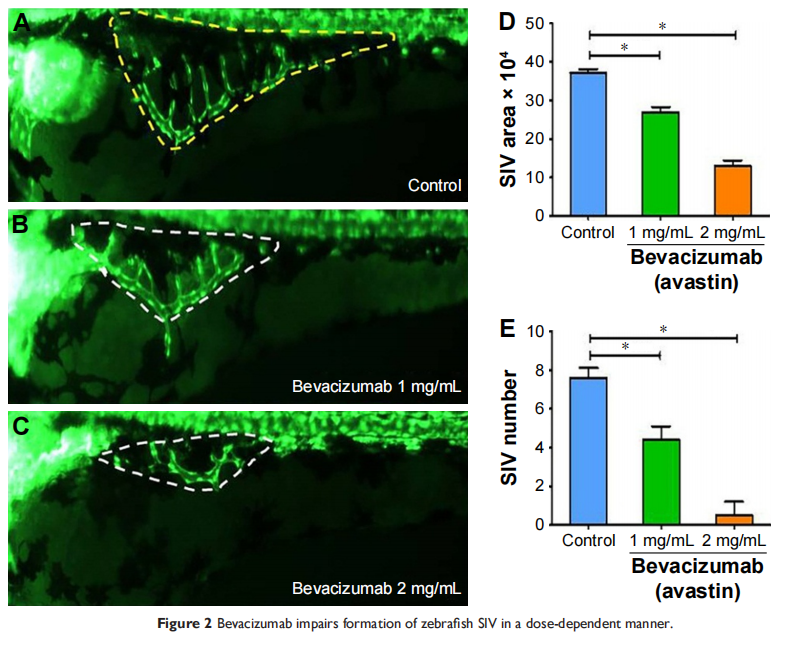 全面解析！靶向VEGF重塑肿瘤微环境策略 - 知乎