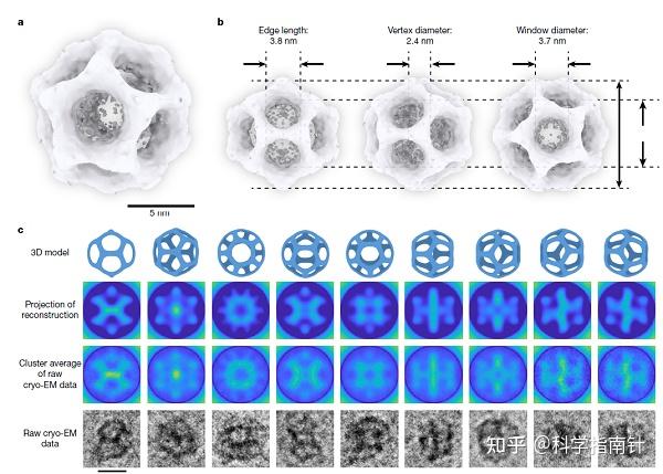 顶刊中对透射电子显微镜（TEM）的新玩法 - 知乎