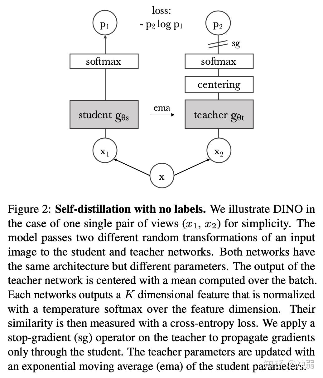一篇文章搞懂iBOT - 知乎