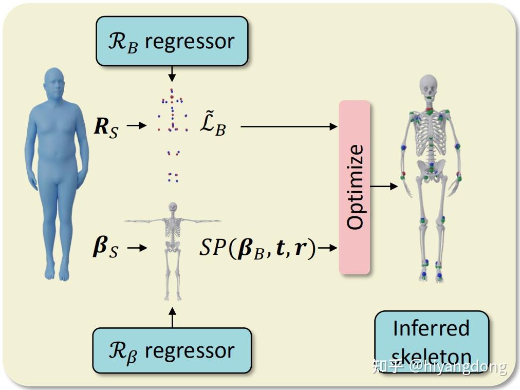 数字人 | AI-based的身体绑定算法 - 知乎
