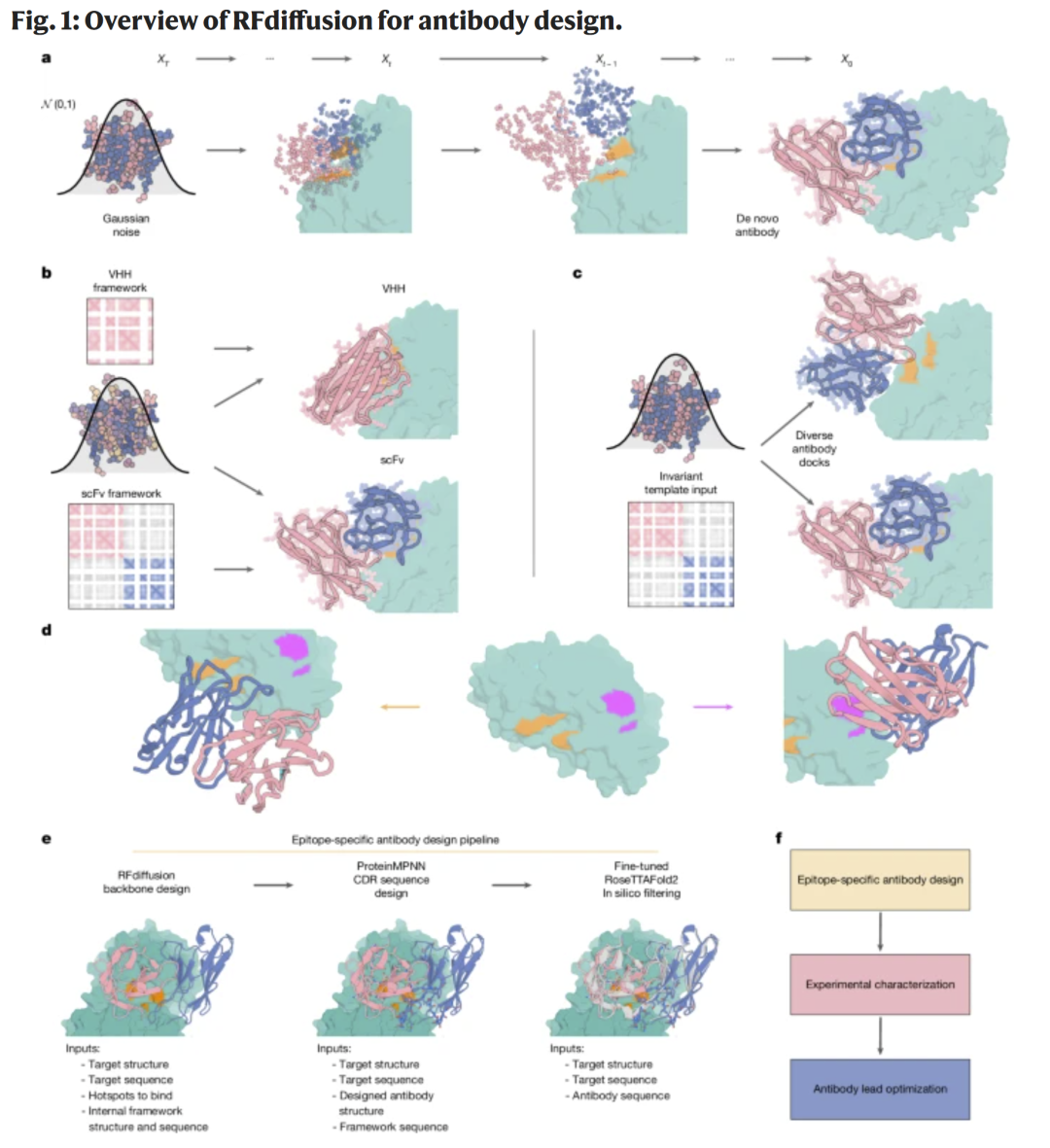 Nature | RFdiffusion: David Baker 团队打造的原子级抗体从头设计新范式 - 知乎