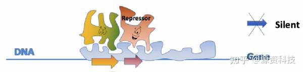 从一团乱麻中梳理生命的乐章-使用TRANSFAC数据库查找Composite Module - 知乎