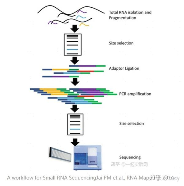 转录组测序（RNA） - 知乎