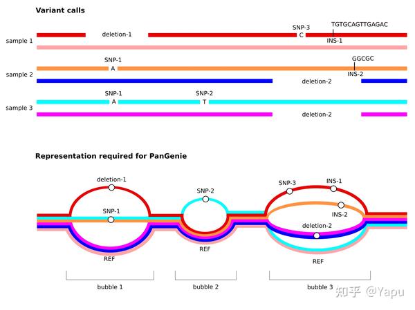 Pan-Genie｜Pan-genome-based genotyping - 知乎
