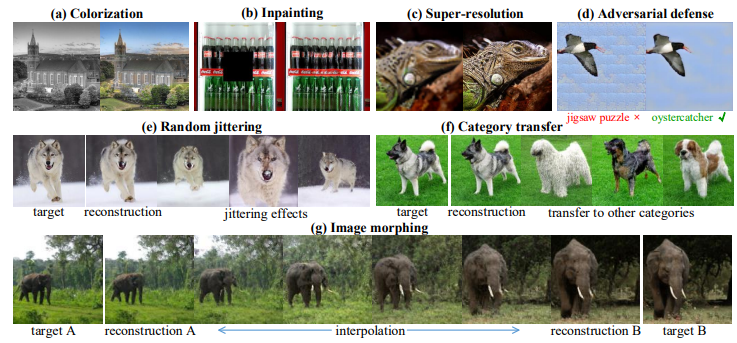 ECCV 2020 Oral 论文汇总！ - 知乎
