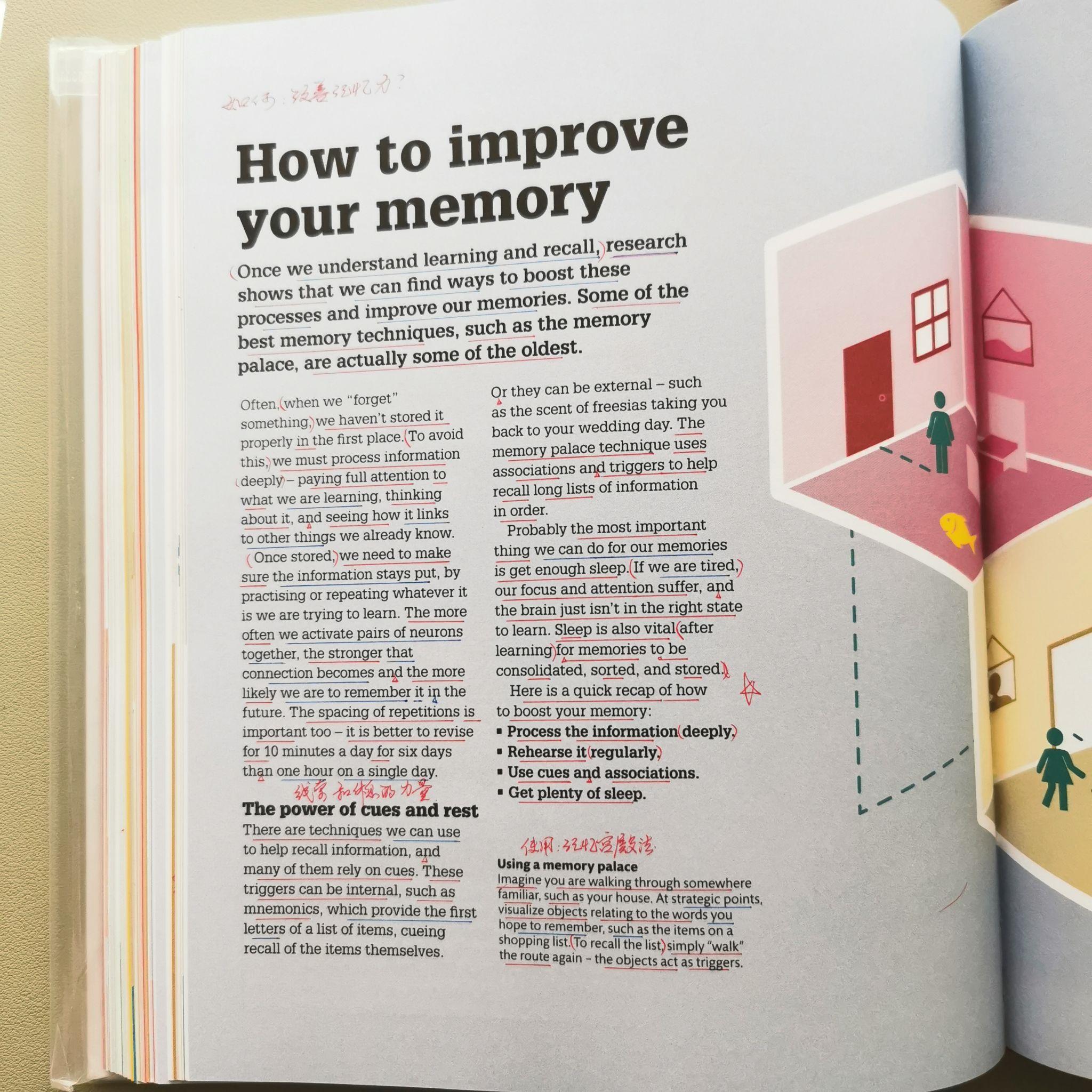 【读英语书】【book 197】DK: How The Brain Works - 知乎