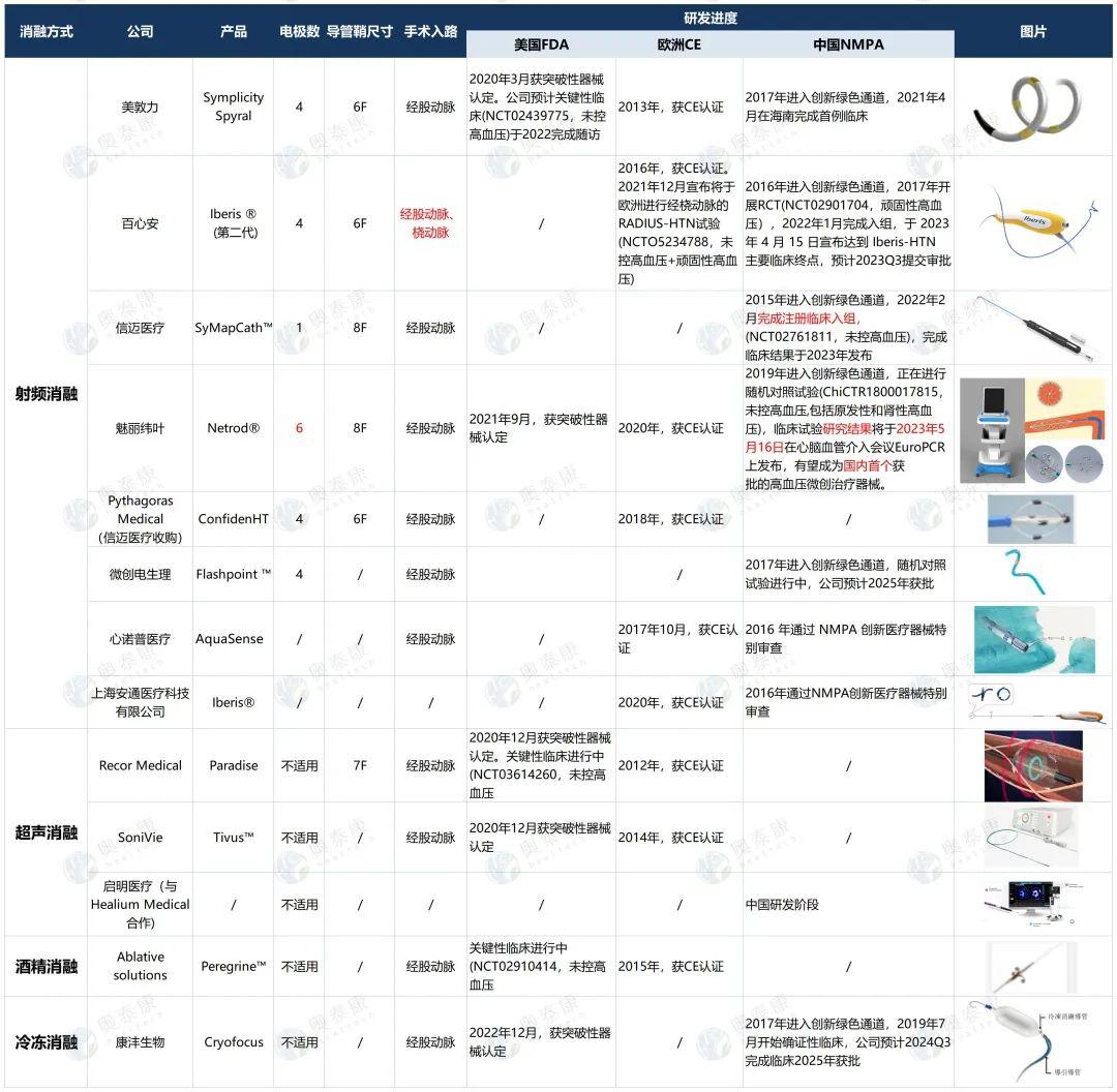 RDN | 经肾动脉去交感神经术——高血压微创介入治疗 - 知乎