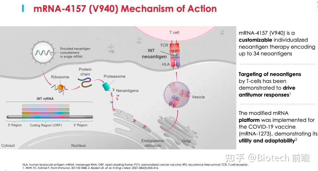 柳叶刀丨mRNA-4157联合K药辅助治疗黑色素瘤II期研究 - 知乎