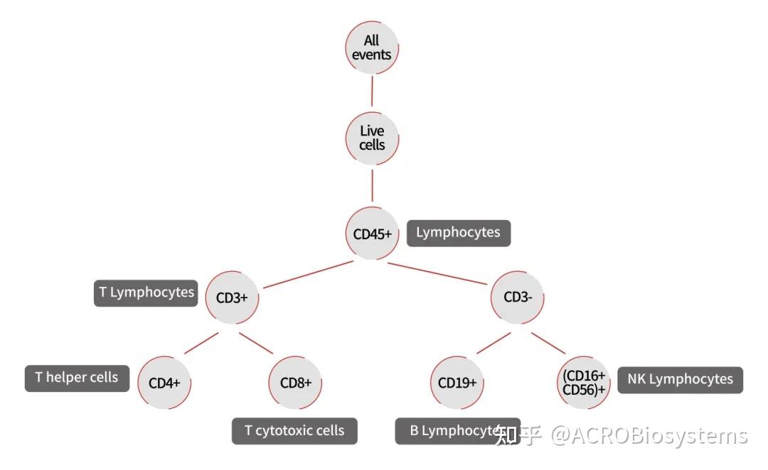 流式细胞术的那些事：带你轻松掌握圈门策略与数据分析技巧 - 知乎
