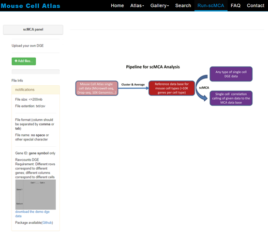 Mouse Cell Atlas：小鼠单细胞图谱，专业 - 知乎