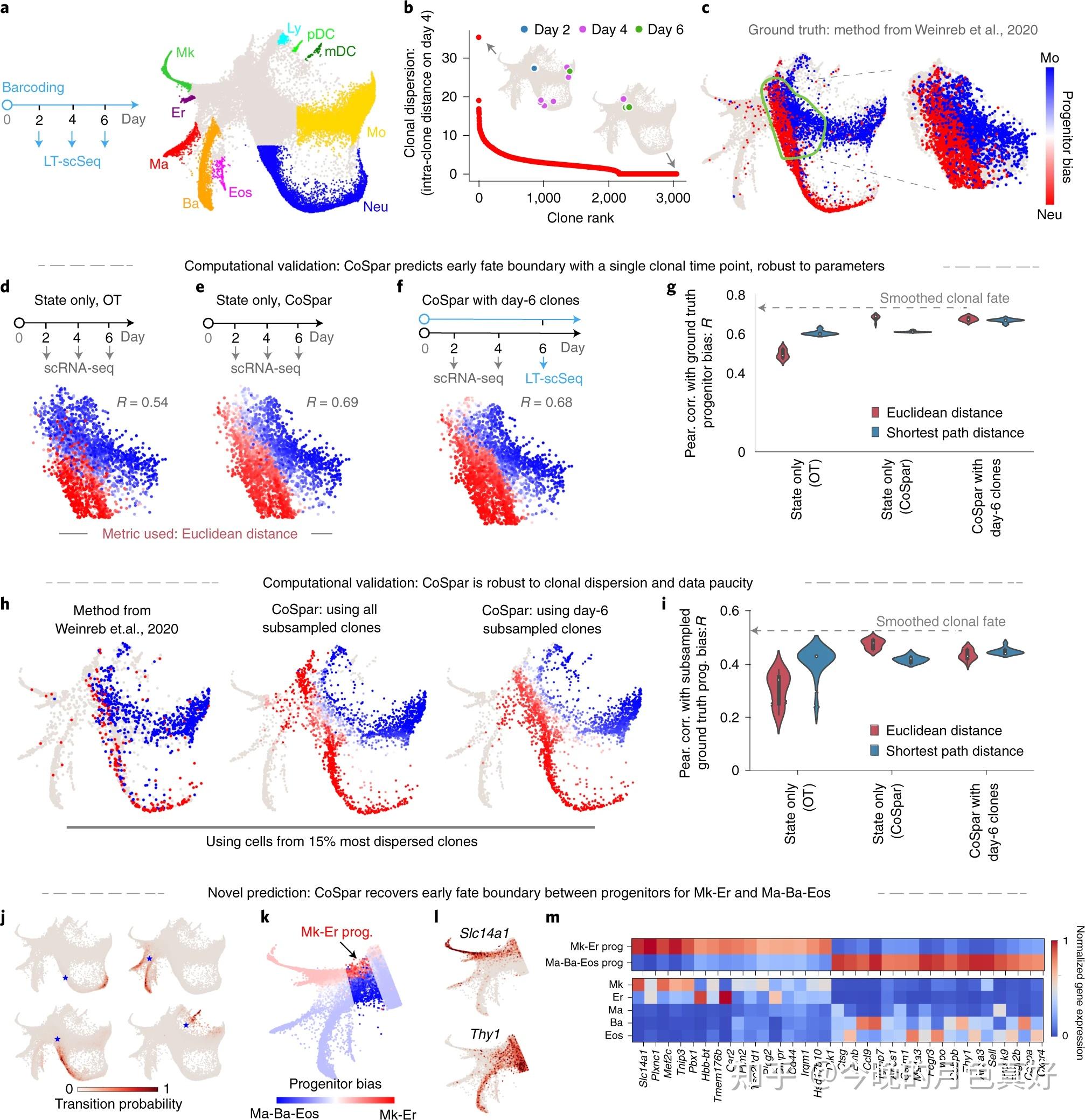 CoSpar identifies early cell fate biases from single-cell ...