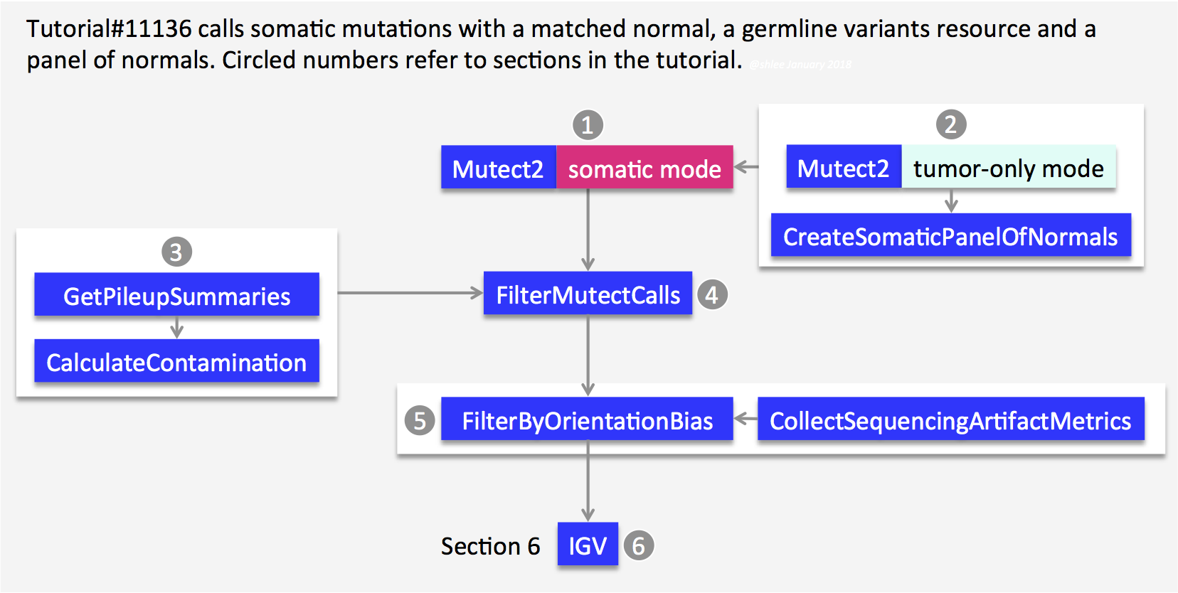 使用GATK4 Mutect2 检测体细胞突变 - 知乎