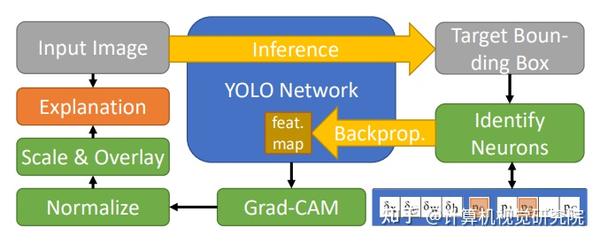 YOLO的可解释性：利用Grad-CAM解释目标检测框架 - 知乎