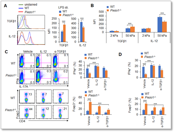eLife︱刘光伟/毕玉晶团队发现机械力受体PIEZO1肿瘤免疫新机制：调控树突状细胞依赖性T细胞分化 - 知乎