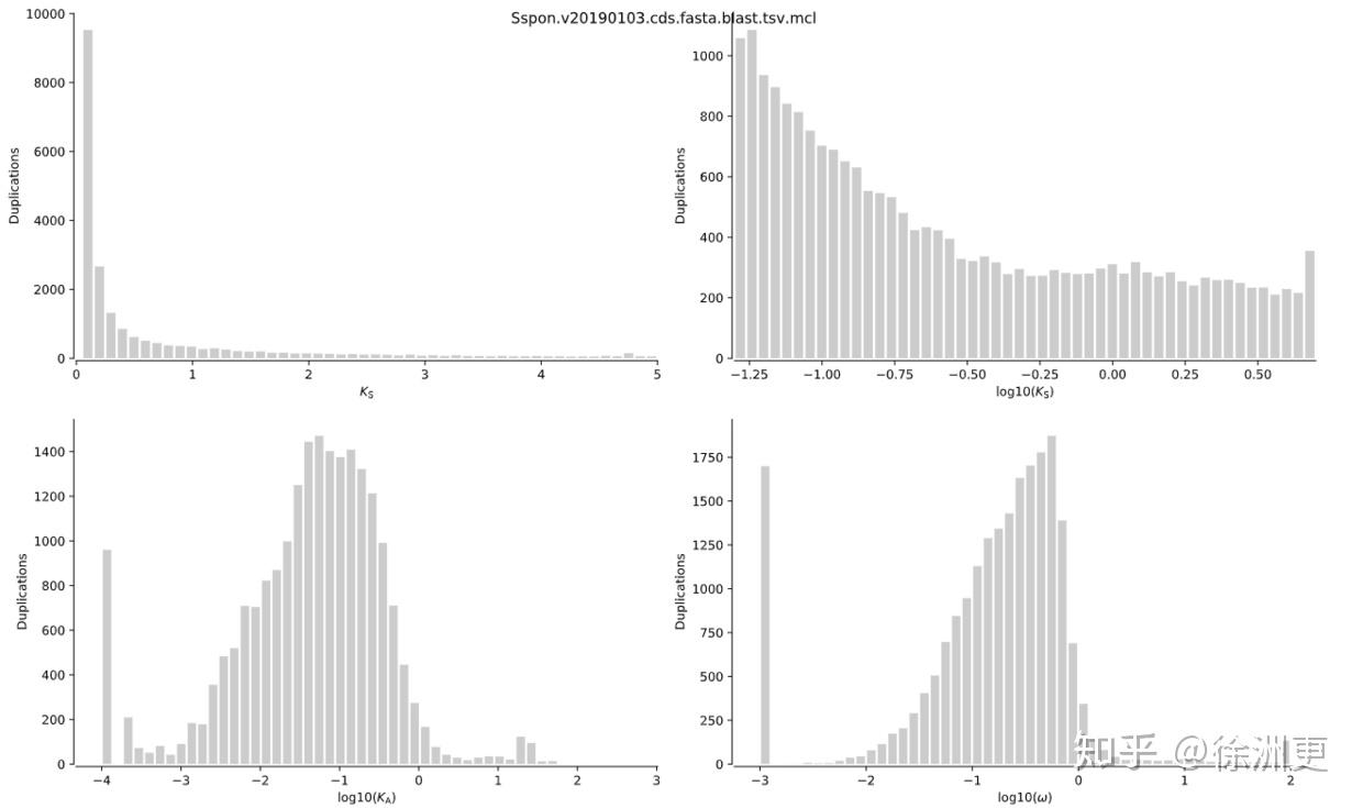 使用wgd进行全基因组复制分析 - 知乎