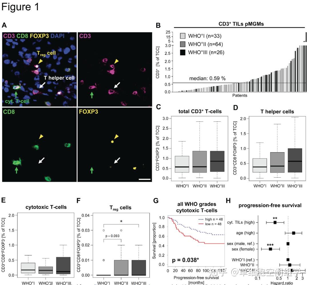 Clinical Cancer Research| 细胞毒性T细胞及其激活态是脑膜瘤的独立预后标志物 - 知乎