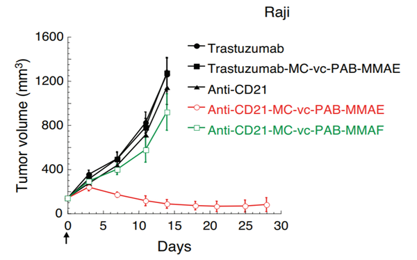 ADC之蛋白酶可裂解连接子 - 知乎