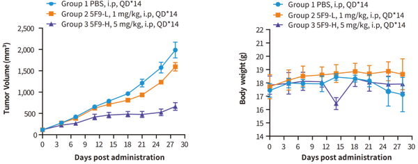 关于CDX模型，这些知识点你必须了解！ - 知乎
