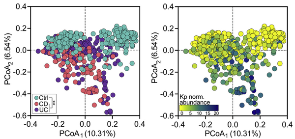 R绘图 | 浅谈散点图及其变体的作图逻辑 - 知乎